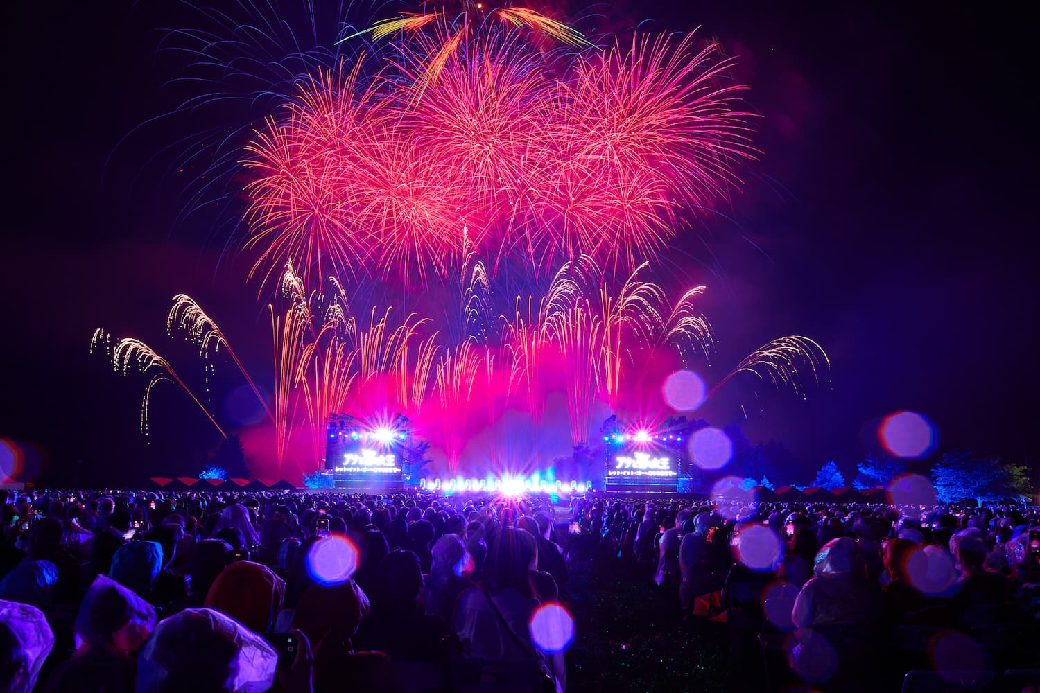 「Disney Music & Fireworks」初日レポート 2023年6月3日（土）広島・国営備北丘陵公園 | ディズニー ミュージック ...